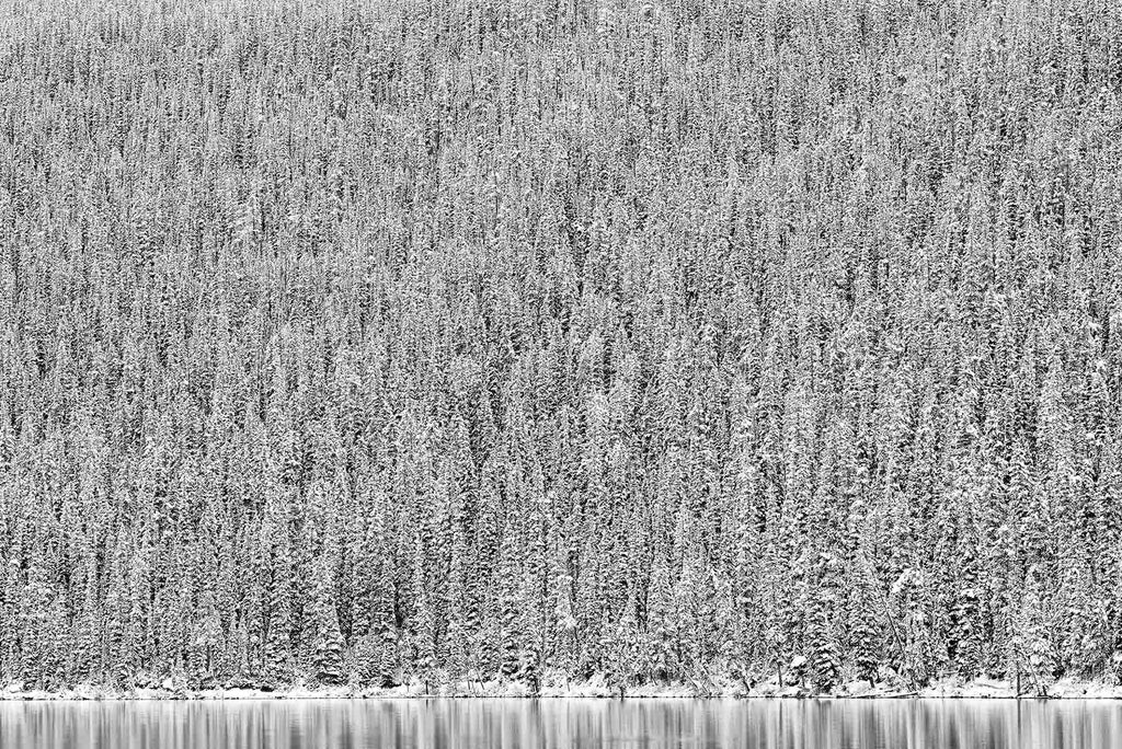 Open Edition Prints – Steve Moretti Photography